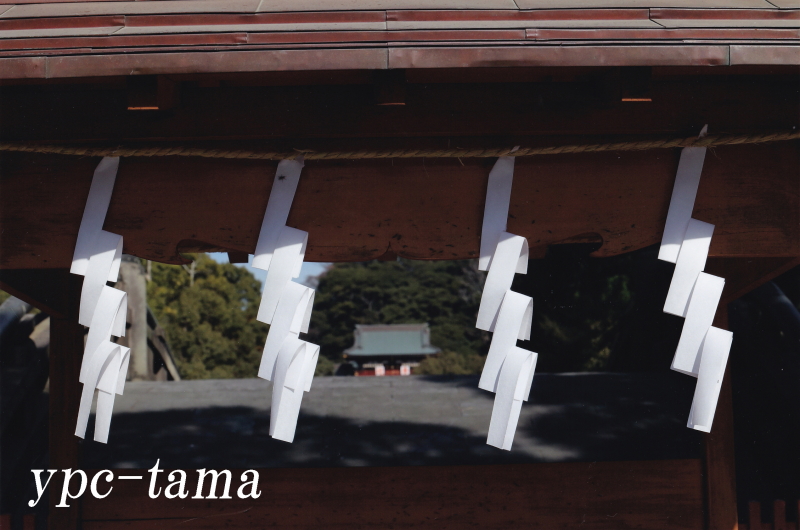 多摩読売写真クラブ（多摩YPC):トップ